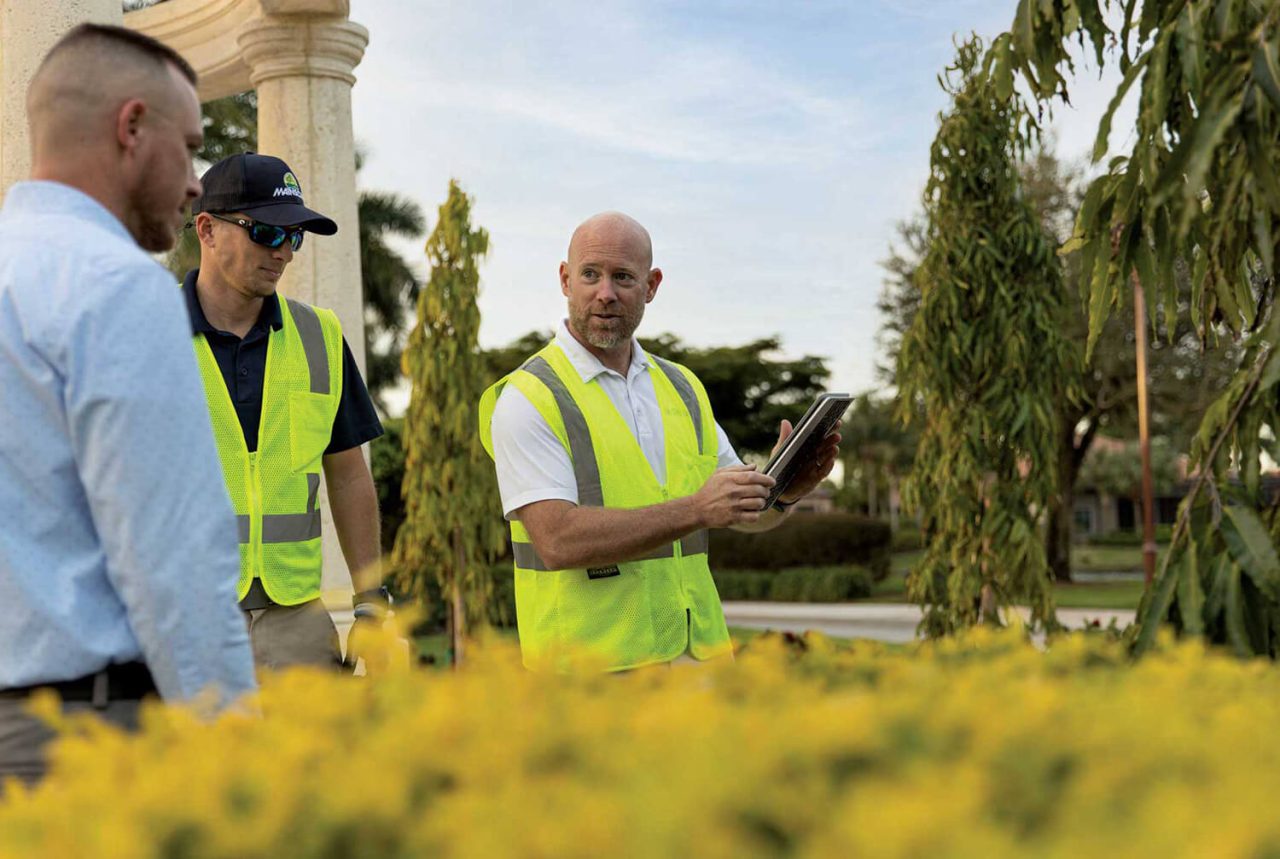 What makes a great landscaping company? | Mainscape | Landscape Services