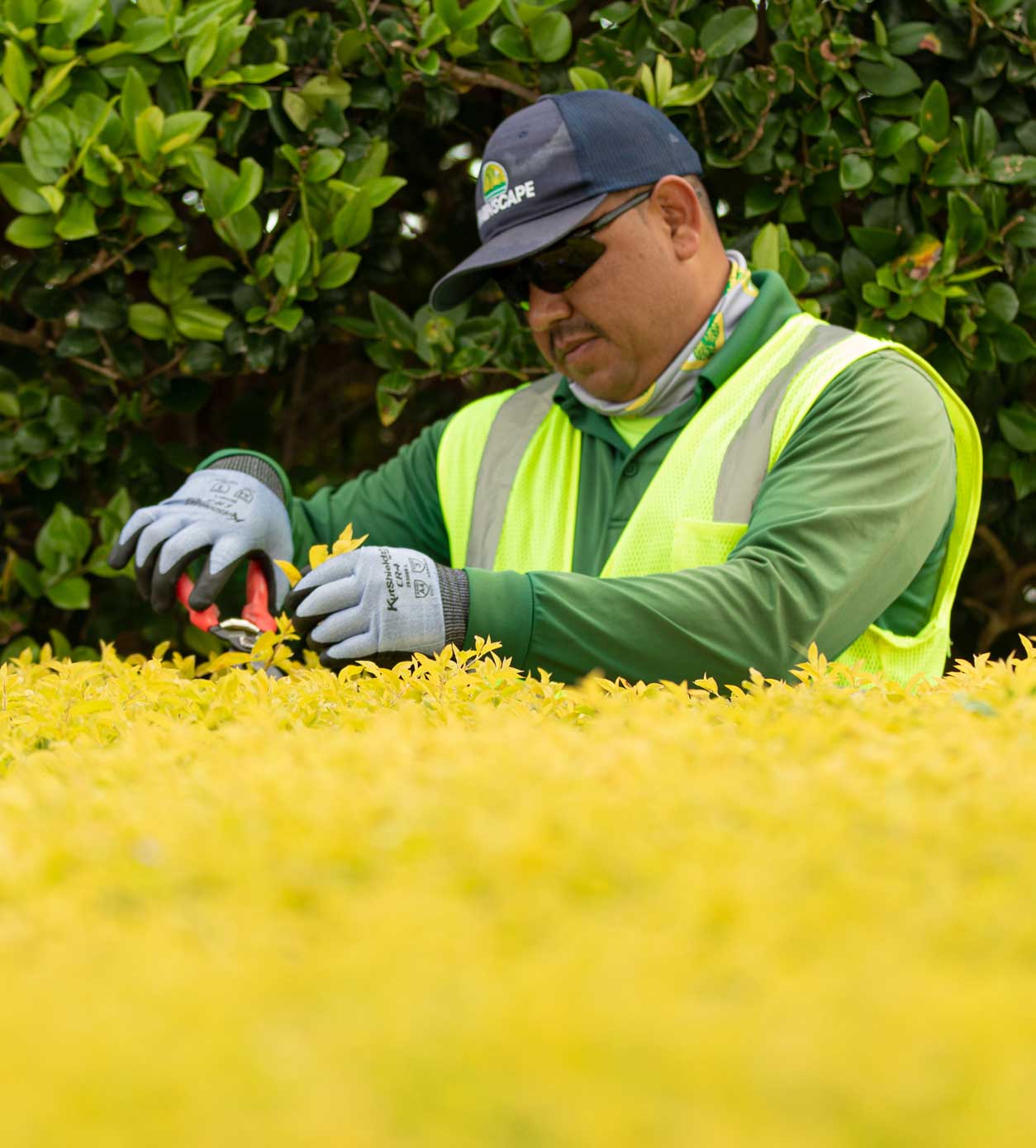 Mainscape Landscaping | National Landscape Services Company