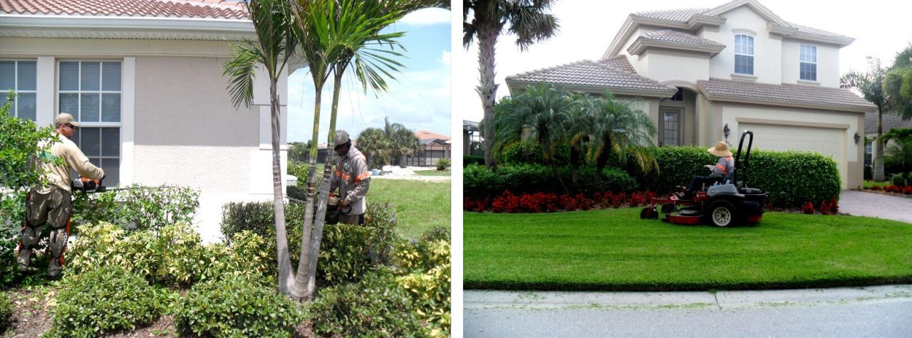 Landscape Business Near Me | Mainscape | Mainscape | Landscape Services